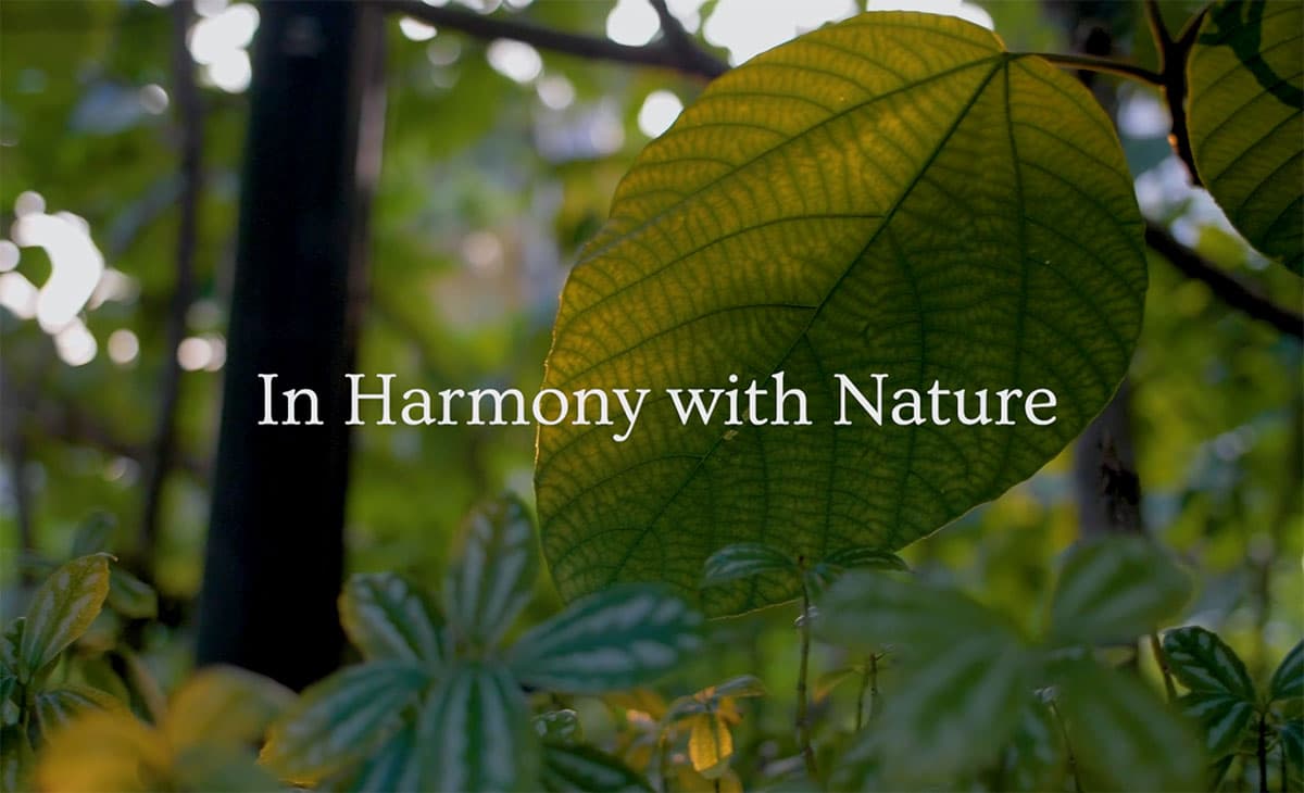 TOLLEGNO 1900: IN HARMONY WITH NATURE - Tollegno 1900